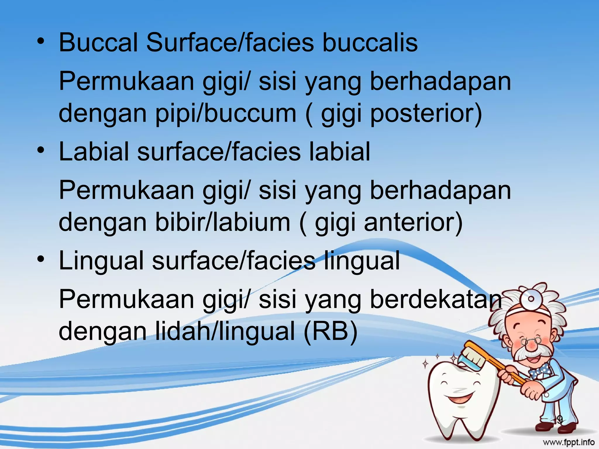 Taxonomi dan Nomenklatur Gigi | PPT