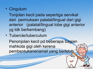 Taxonomi dan Nomenklatur Gigi | PPT