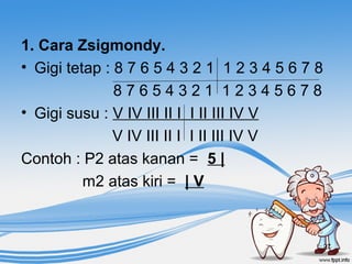 Taxonomi dan Nomenklatur Gigi | PPT