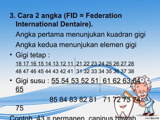 Taxonomi dan Nomenklatur Gigi | PPT