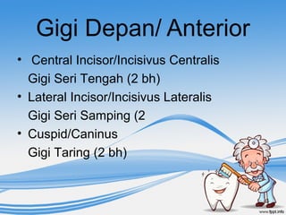 Taxonomi dan Nomenklatur Gigi | PPT