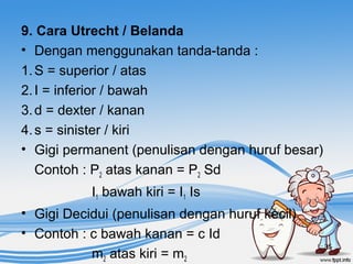 Taxonomi dan Nomenklatur Gigi | PPT