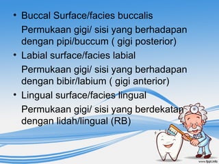 Taxonomi dan Nomenklatur Gigi | PPT