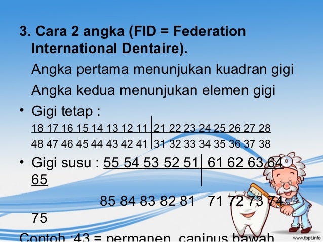 Taxonomi dan Nomenklatur Gigi