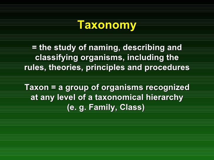 Taxonomy Meaning