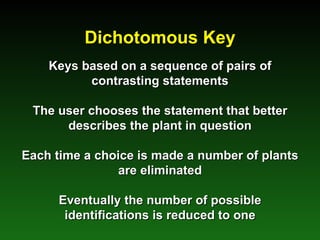 Taxonomy | PPT | Free Download