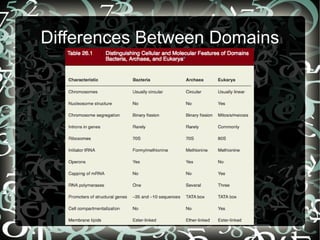Taxonomy | PPT