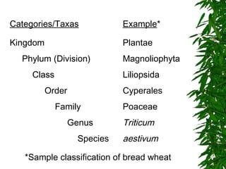 Taxonomy | PPT