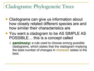 Taxonomy | PPT