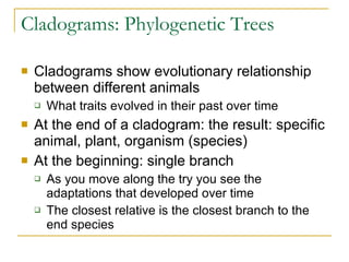 Taxonomy | PPT