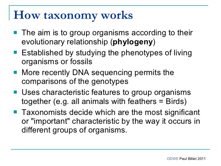 Taxonomy Meaning