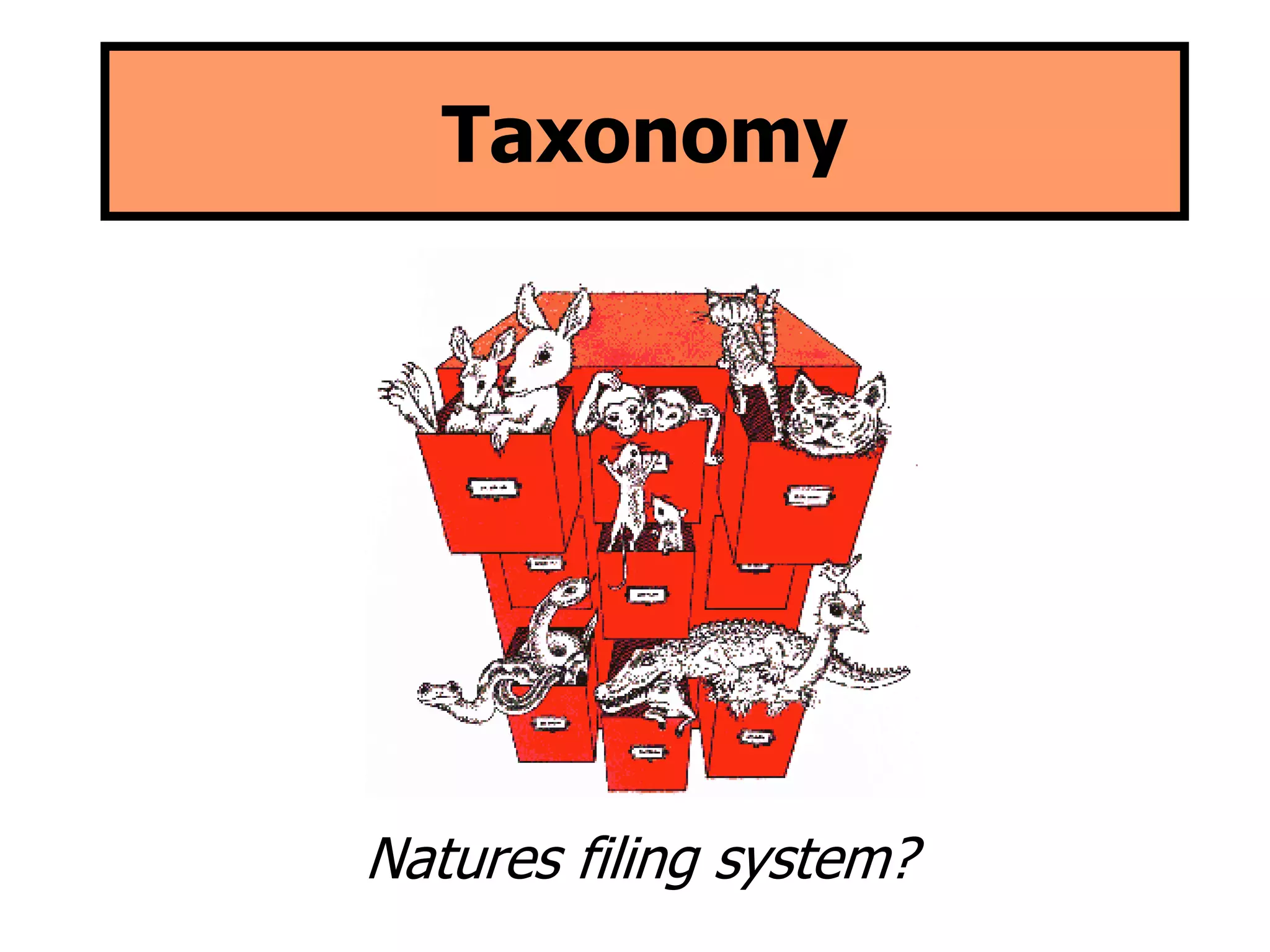 Taxonomy | PPT