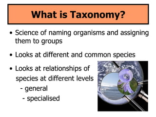 Taxonomy | PPT