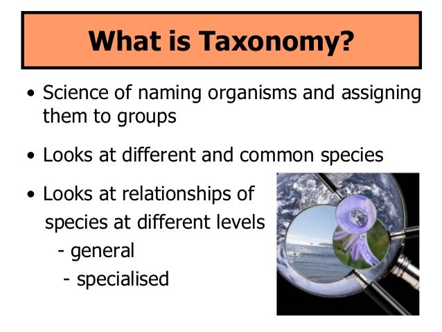 Taxonomy