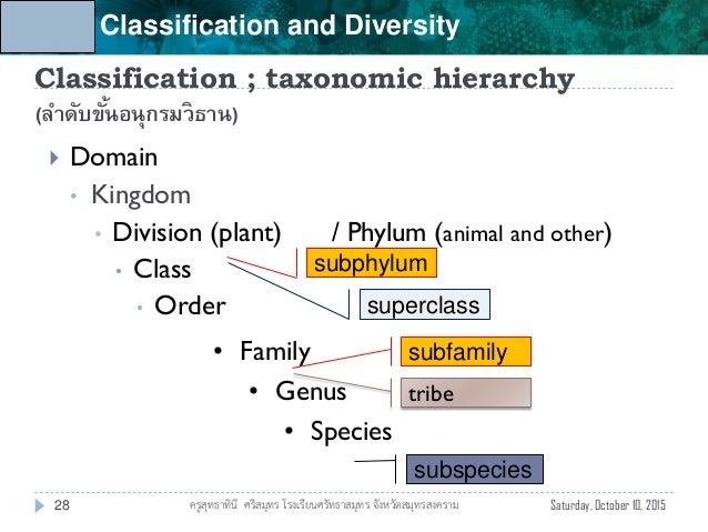 Taxonomy