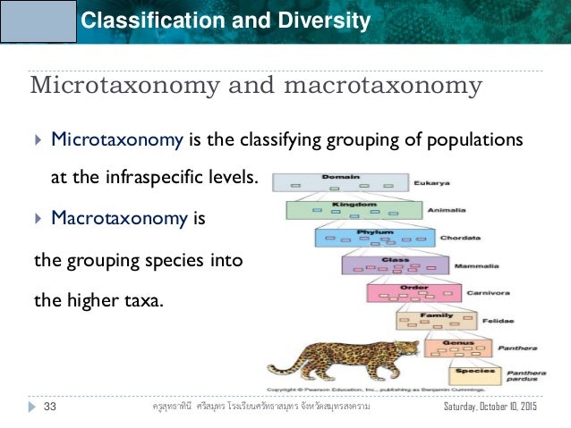 Taxonomy