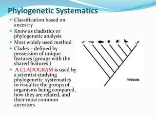 Taxonomy | PPTX