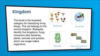 Taxonomy | PPTX