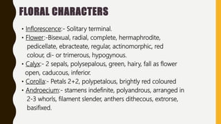 FAMILY PAPAVERACEAE & NYCTAGINACEAE | PPT