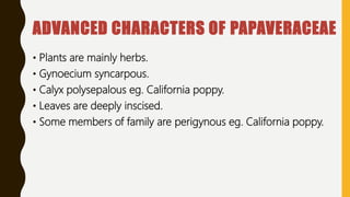 FAMILY PAPAVERACEAE & NYCTAGINACEAE | PPTX