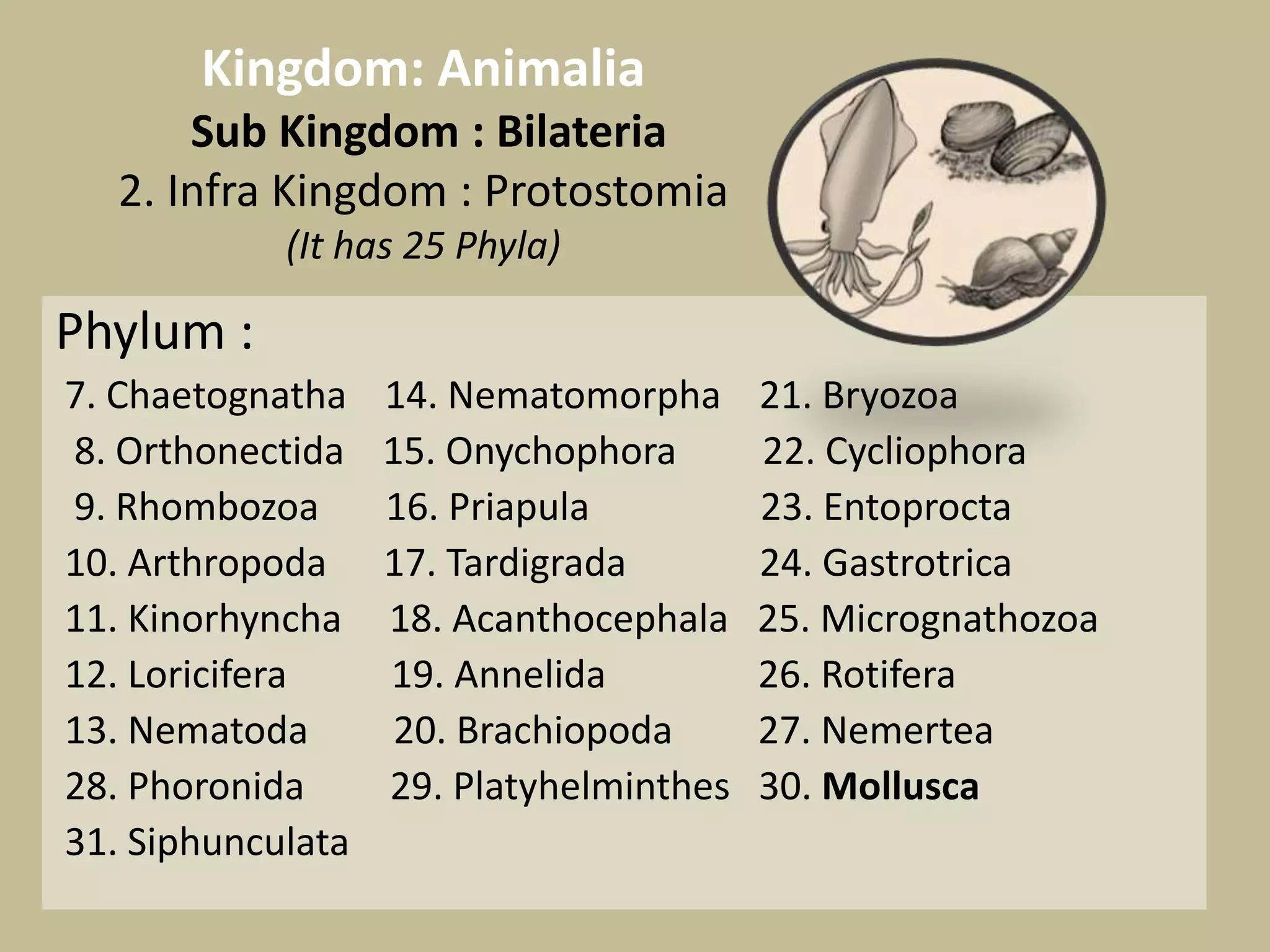 Taxonomy of Living and Non Living Organism :A brief Discussion | PPTX ...