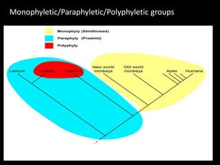 Taxonomy | PPTX | Biological Sciences | Science
