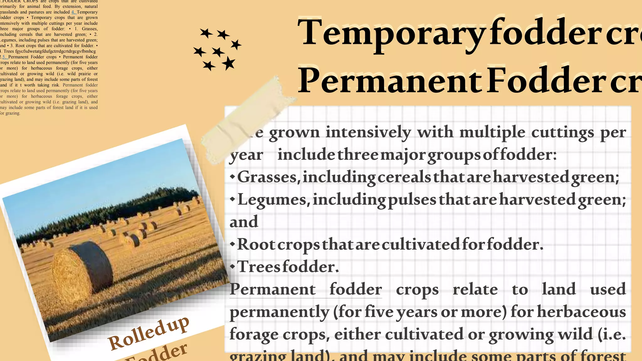 Fodder crop - Napier grass, Fiber crop - Hemp | PPTX