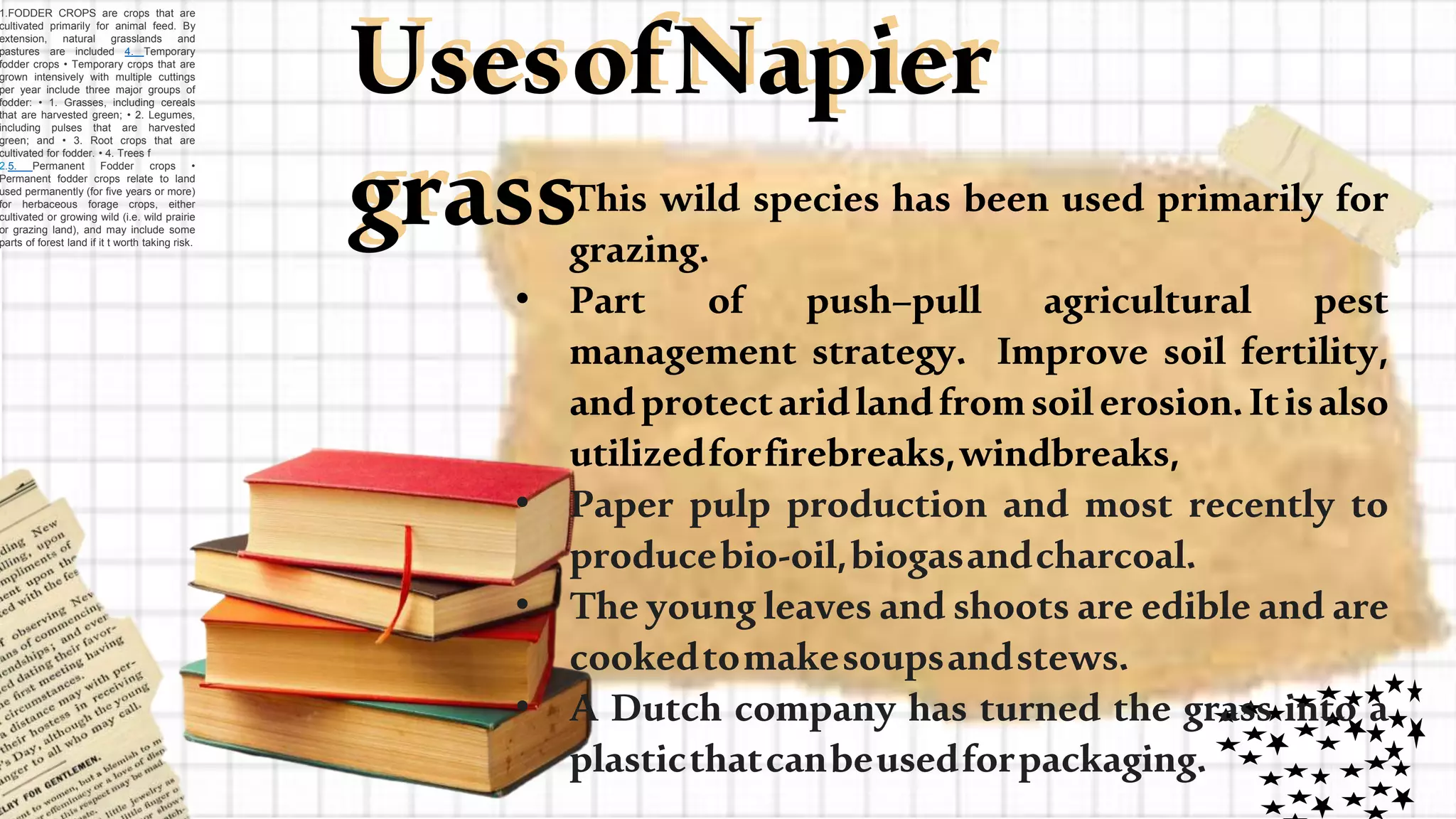 Fodder crop - Napier grass, Fiber crop - Hemp | PPTX