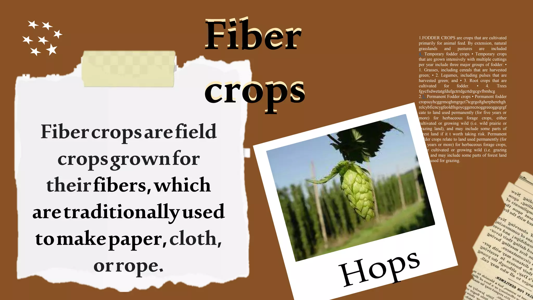 Fodder crop - Napier grass, Fiber crop - Hemp | PPTX
