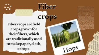 Fodder crop - Napier grass, Fiber crop - Hemp | PPTX