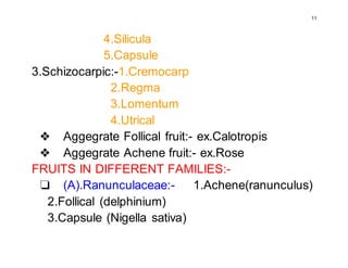 Easy tricks to learn Plant Taxonomy | PPT