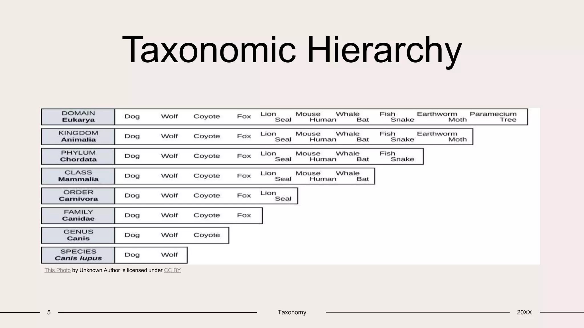Taxonomy.pptx | Biological Sciences | Science
