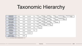 Taxonomy.pptx