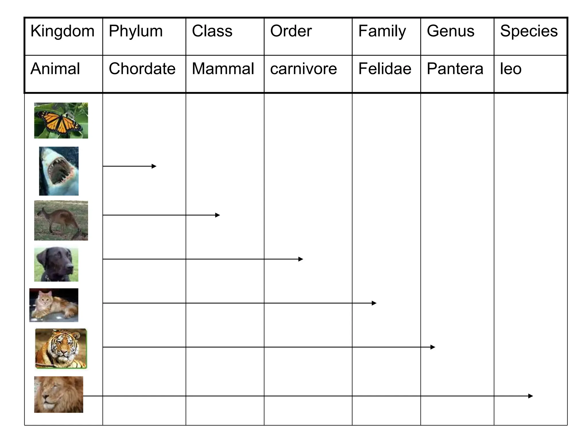TAXONOMY general biology2 stem shs..pptx