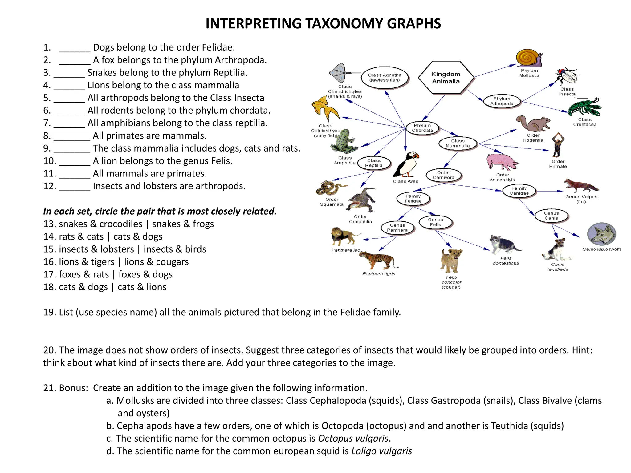 TAXONOMY general biology2 stem shs..pptx