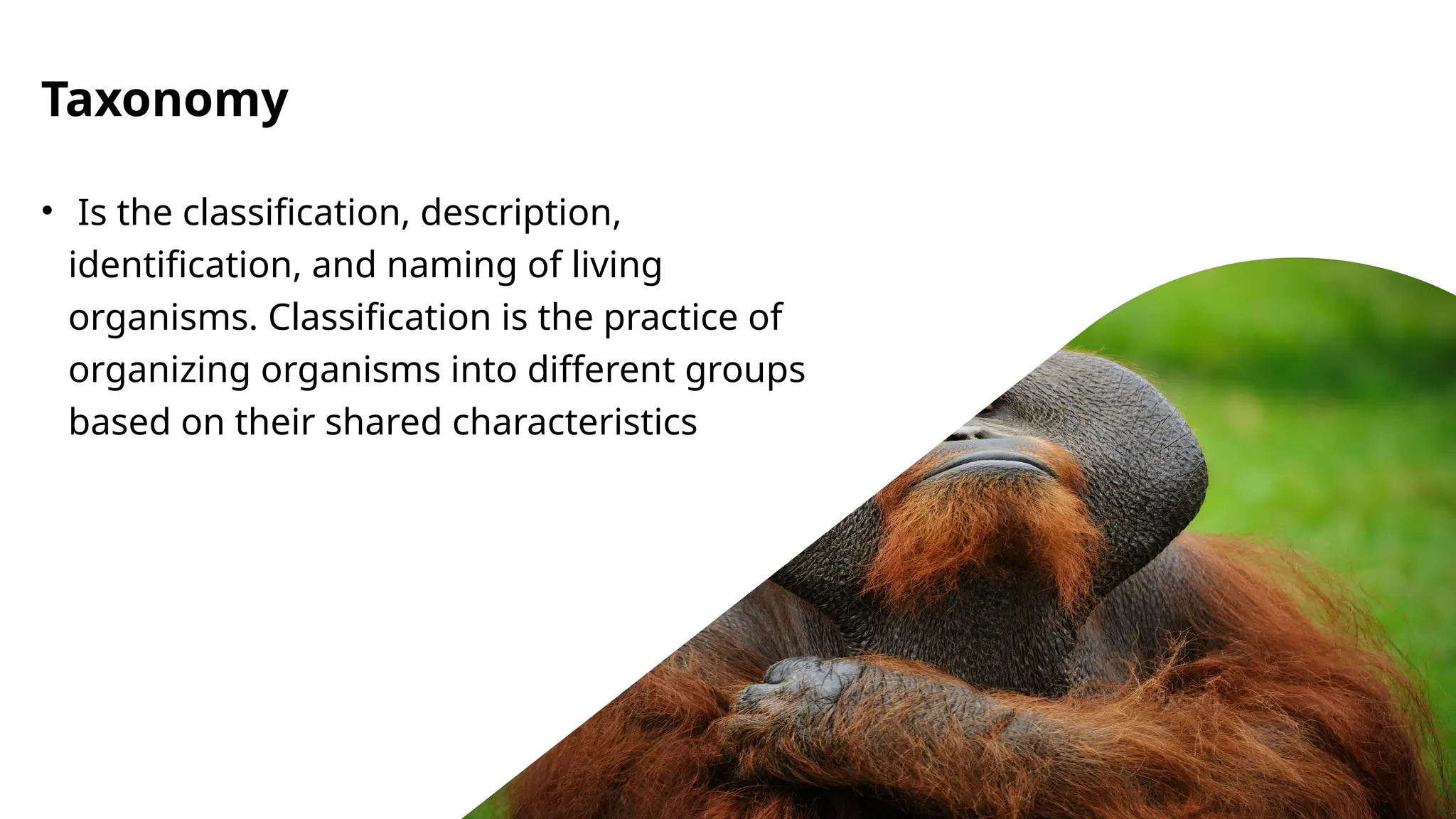 (Microbiology ) The Science of Taxonomy.pptx