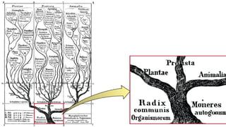 (Microbiology ) The Science of Taxonomy.pptx