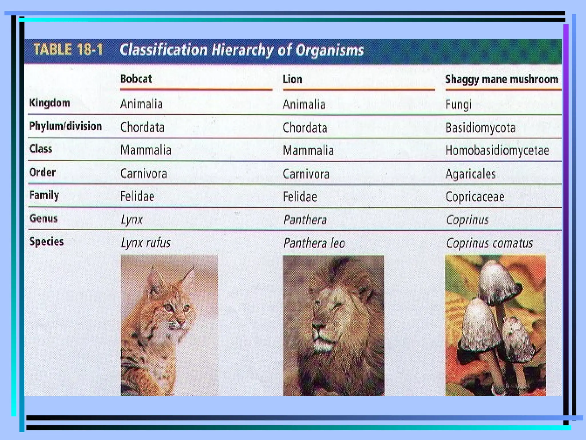 taxonomy.ppt............................ | PPT