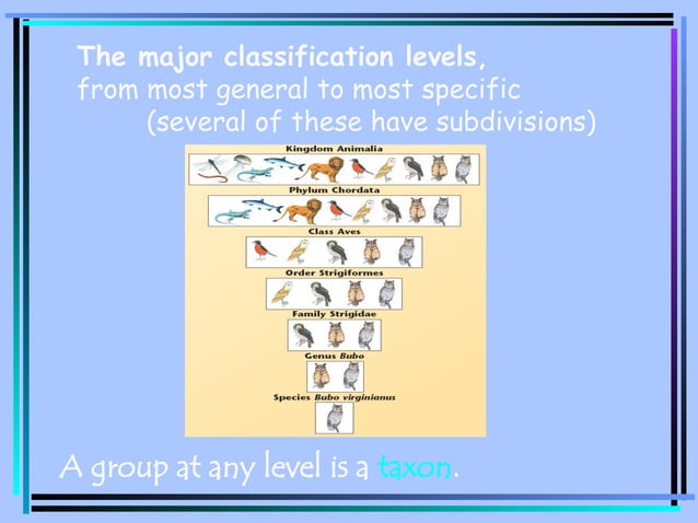 taxonomy.ppt............................ | PPT