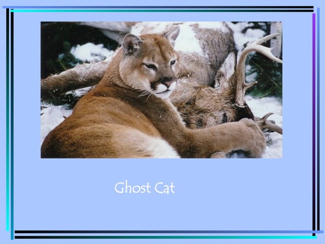 Taxonomy Ppt Ppt