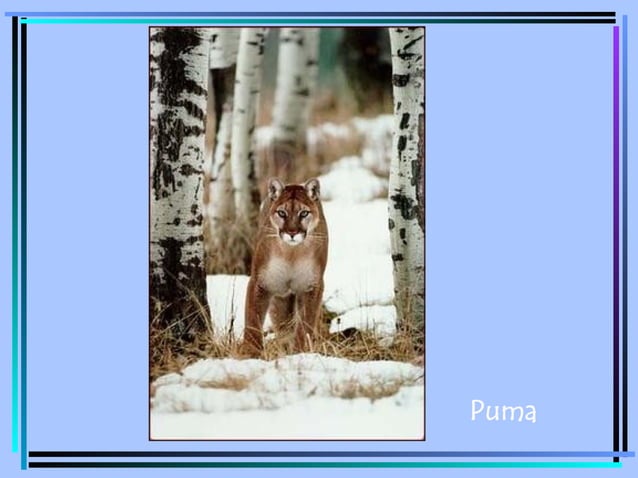 Taxonomy Ppt Ppt