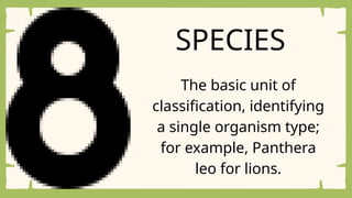 General Biology 2 Lesson 5 taxonomy.pptx