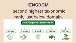 TAXONOMIC CLASSIFICATION OF ORGANISMS.pptx