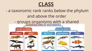 TAXONOMIC CLASSIFICATION OF ORGANISMS.pptx