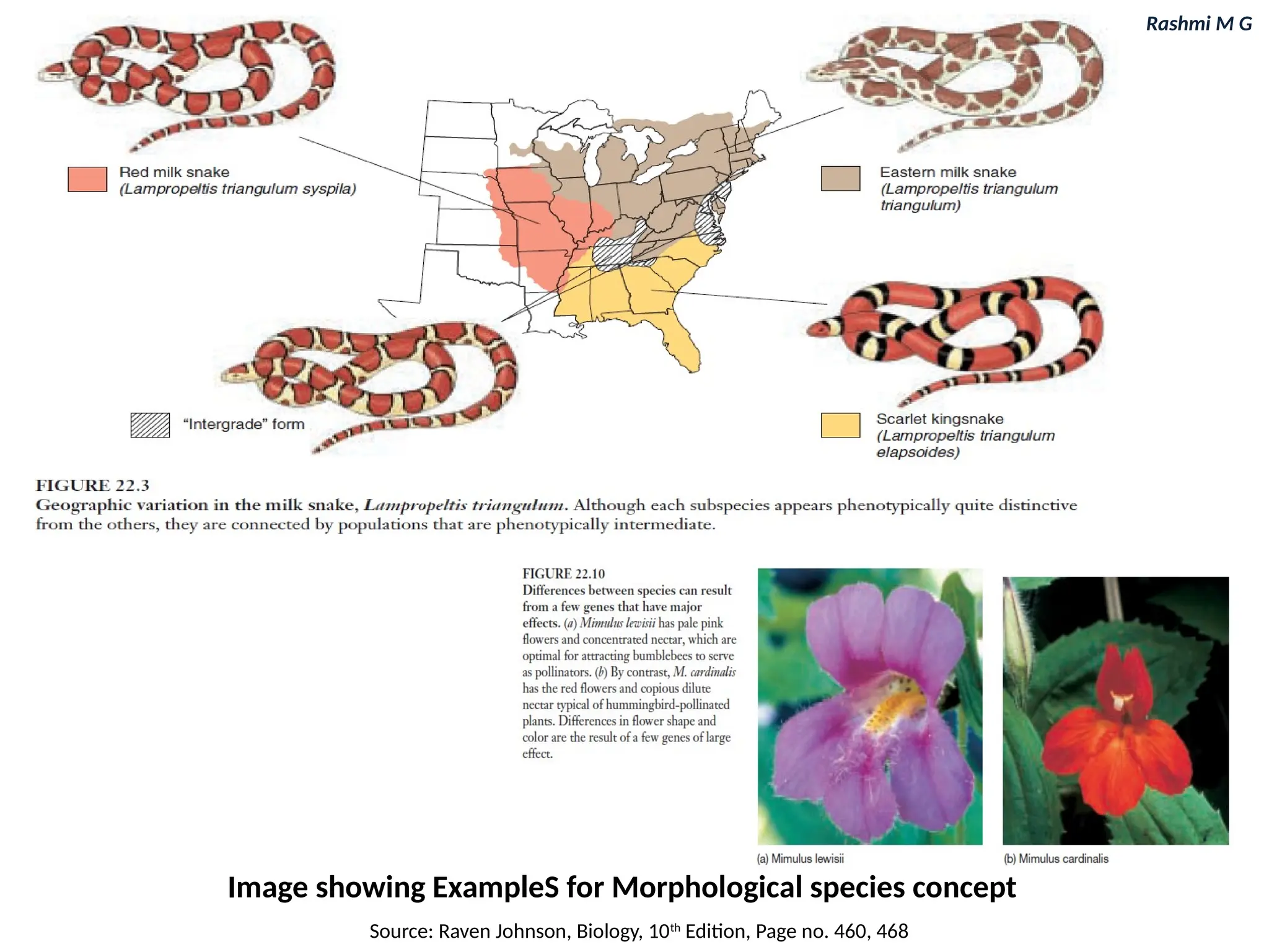 Taxonomy(Introduction,levels of taxonomy, scientific naming ...