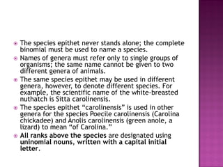 TAXONOMY-AND-PHYLOGENY-OF-THE-ANIMALS.pdf