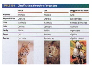 Taxonomy Biology Notes | PPT