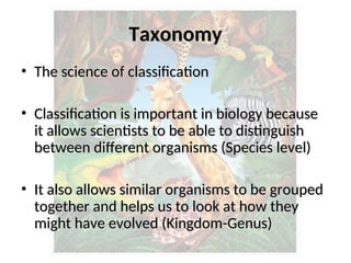 Taxonomy-classification-ppt1 (Taxonomia e classificação).ppt