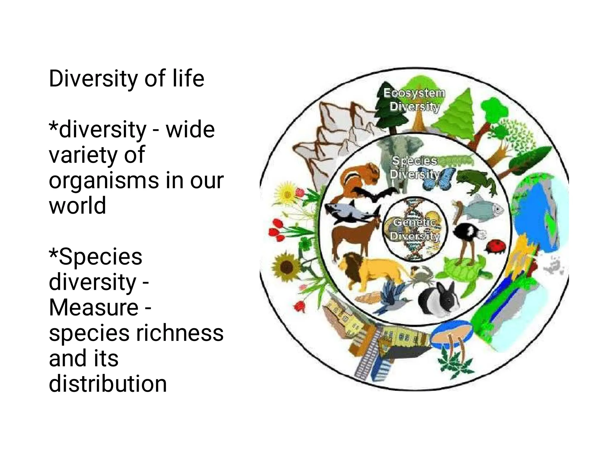 Taxonomy - diversity class 9, introduction to classification | PDF