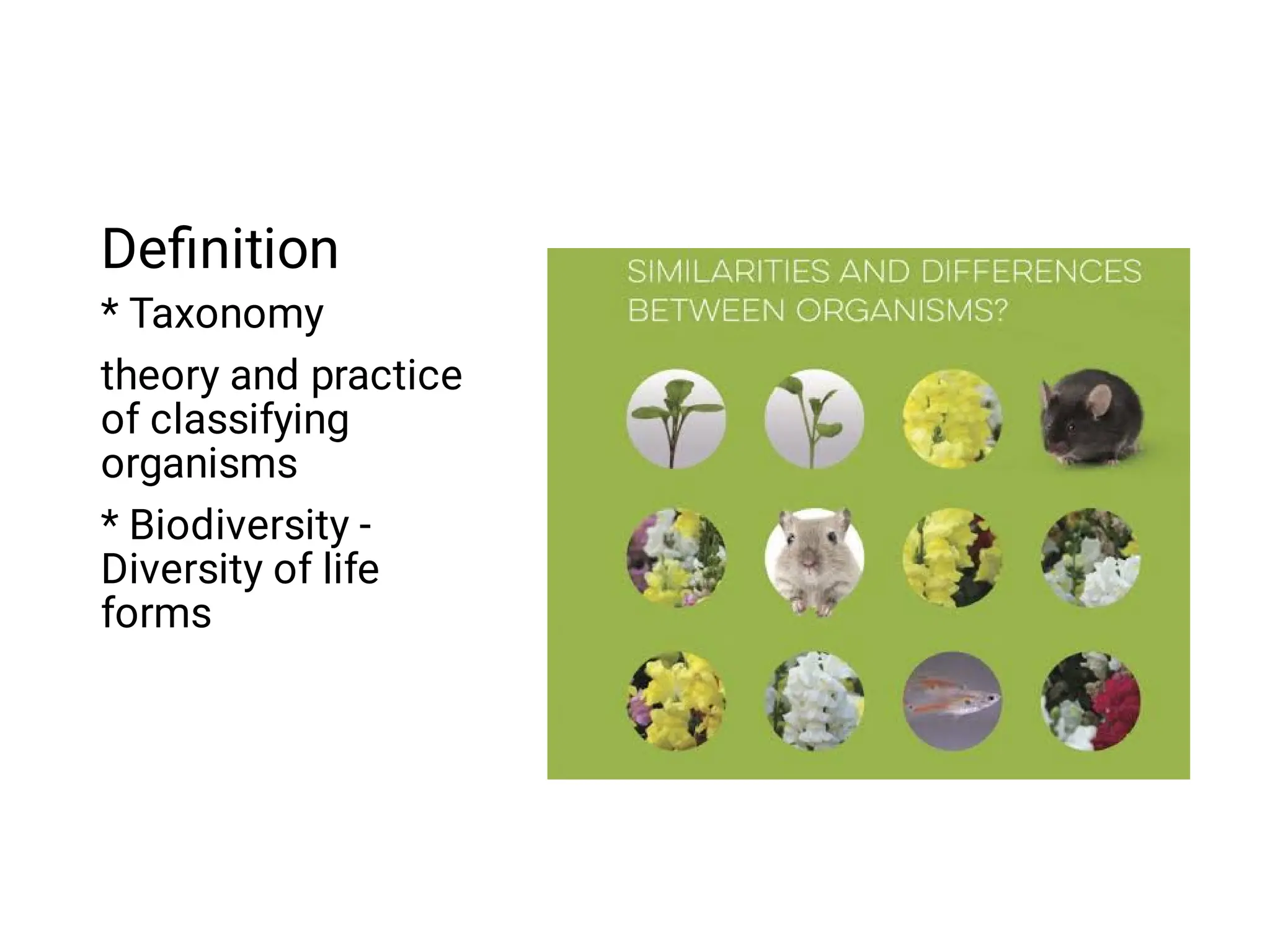 Taxonomy - diversity class 9, introduction to classification | PDF